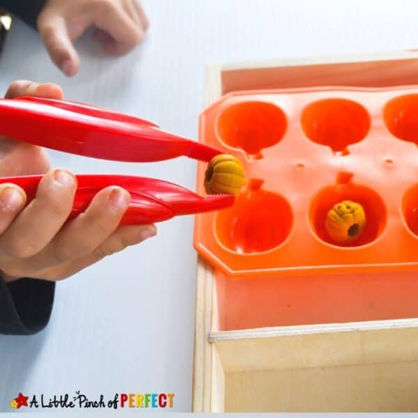 Halloween Pumpkin Counting and Fine Motor Skills Activity - A Little ...