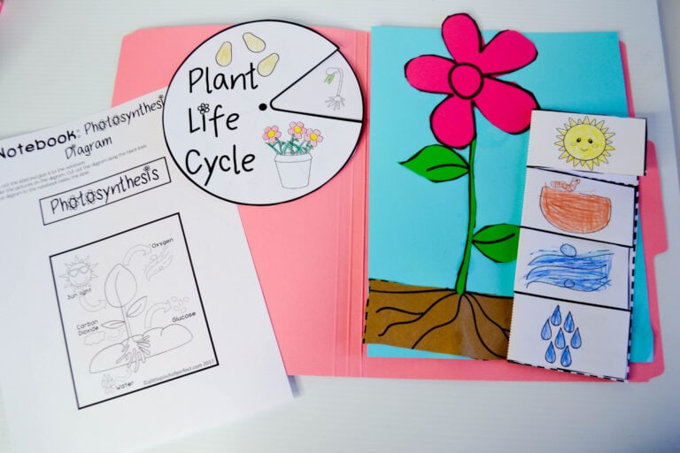All About Plants Unit Study & Lapbook Printables - A Little Pinch of ...