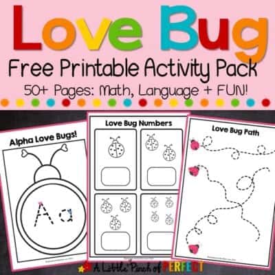 Love Bug Valentine Worksheet Activity Pack