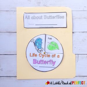 ALL ABOUT BUTTERFLIES UNIT STUDY & LAPBOOK PRINTABLES - A Little Pinch ...