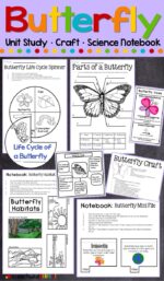 ALL ABOUT BUTTERFLIES UNIT STUDY & LAPBOOK PRINTABLES - A Little Pinch ...