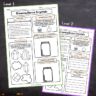 Borax Crystal Science Experiment Activity Pack - A Little Pinch of Perfect