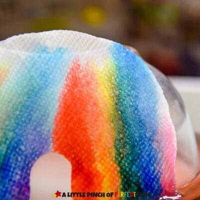 Grow a RAINBOW Paper Towel Experiment and SCIENCE Worksheets