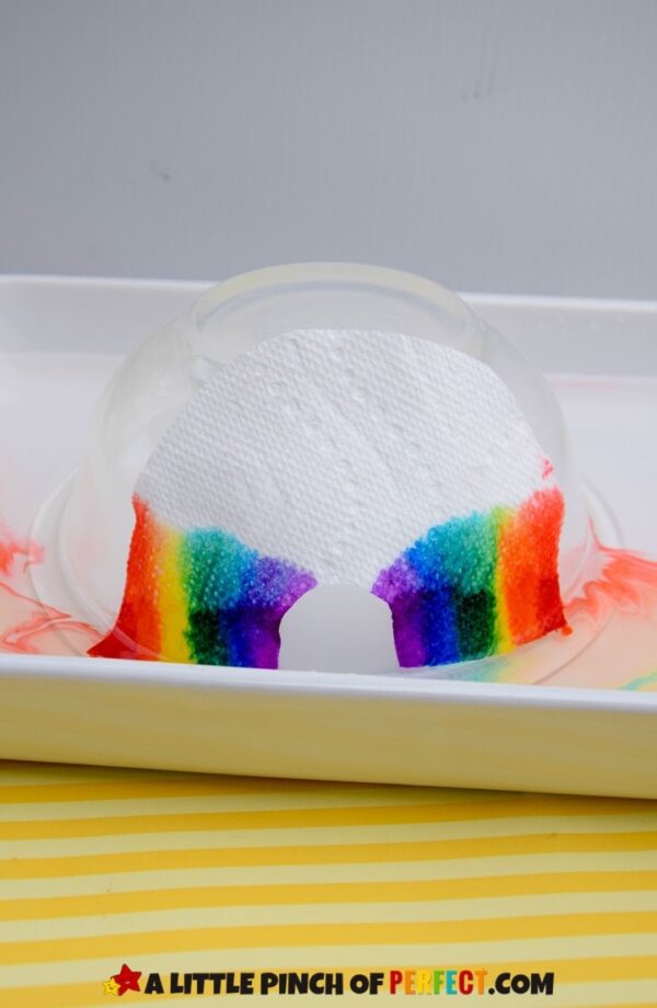 Grow a RAINBOW Paper Towel Experiment and SCIENCE Worksheets - A Little ...