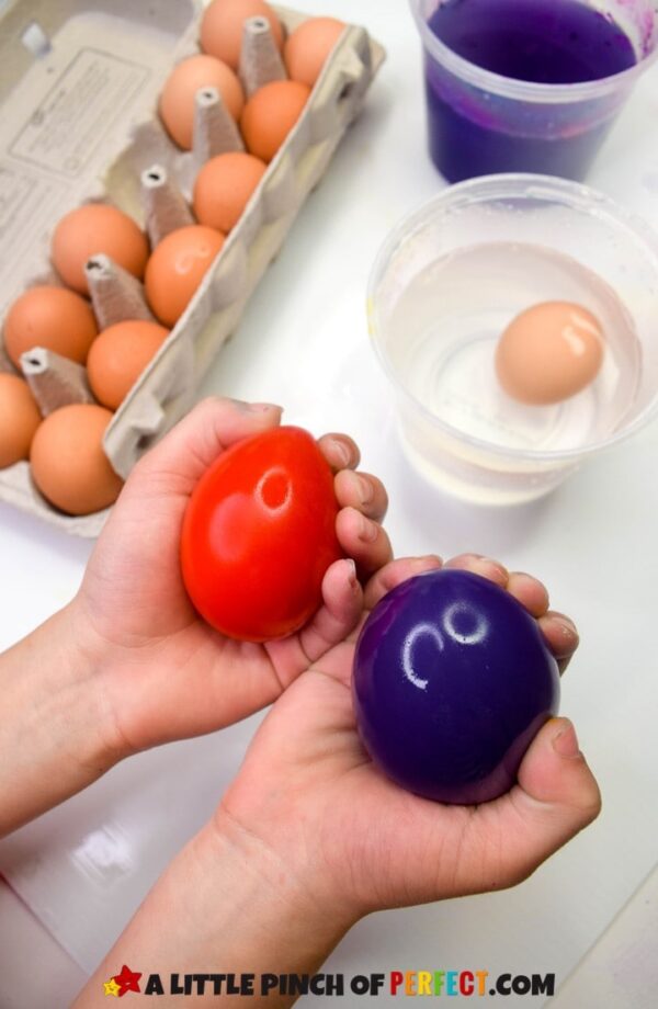 Bouncy Egg Experiment Easy Science Directions, Worksheets + Video - A ...
