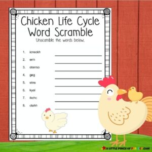 Chicken Life Cycle Activity Pack: FREE Worksheets - A Little Pinch of ...