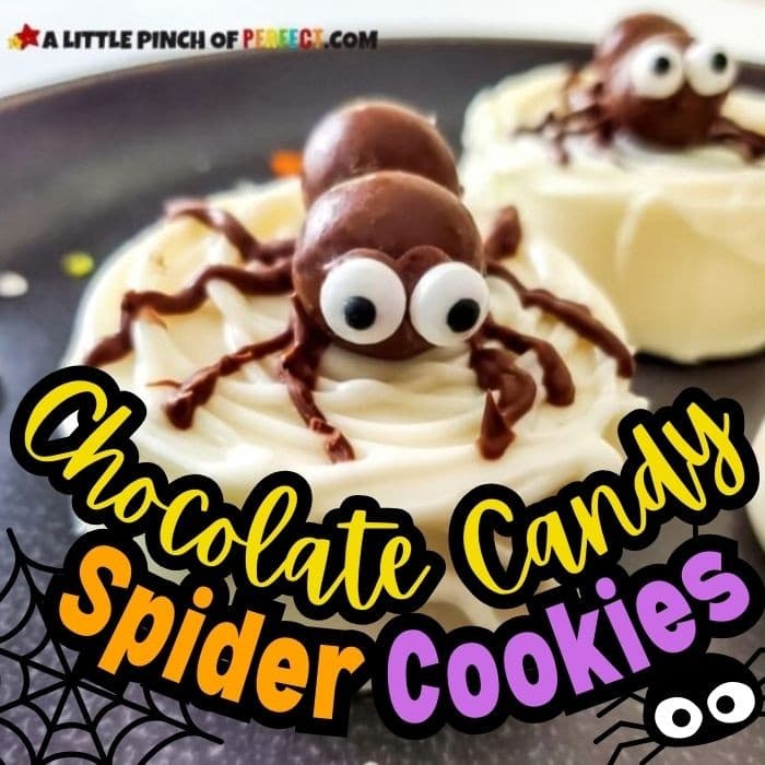 Oreo Spider Cookies: A DIY Halloween Treat for Your Party - A Little ...