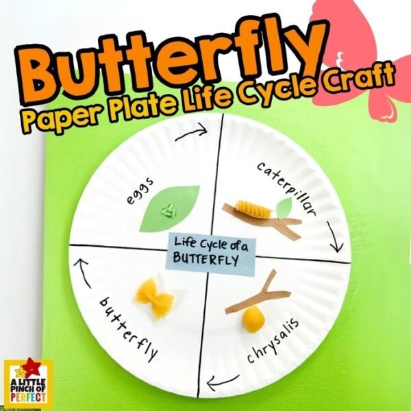 Butterfly Life Cycle Paper Plate Craft - A Little Pinch of Perfect